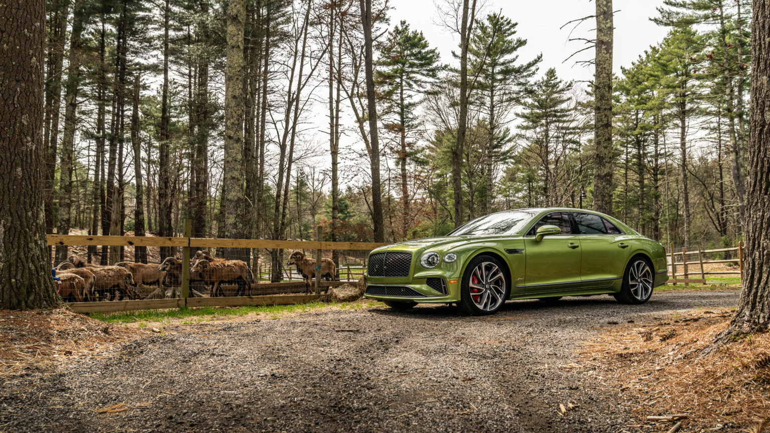 Bentley Denver | Luxury Car Dealer | Denver Colorado